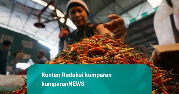 Memasuki Musim Panen, Harga Cabai Rawit di Bojonegoro Berangsur Turun ... Memasuki Musim Panen, Harga Cabai Rawit di Bojonegoro Berangsur Turun ...